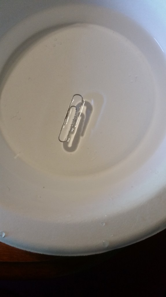 Get Wet! Water Science at the Library | The Loudest Librarian!